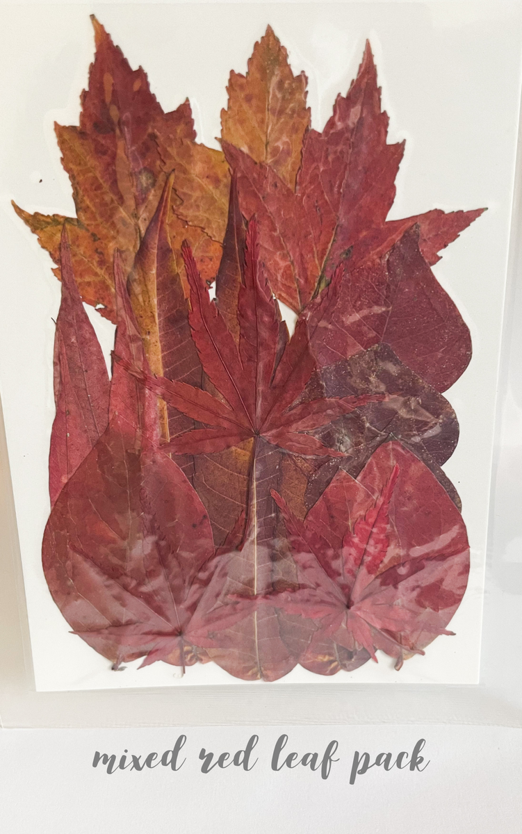 Mixed Read Leaf Pack – The_Glitter_Hut1